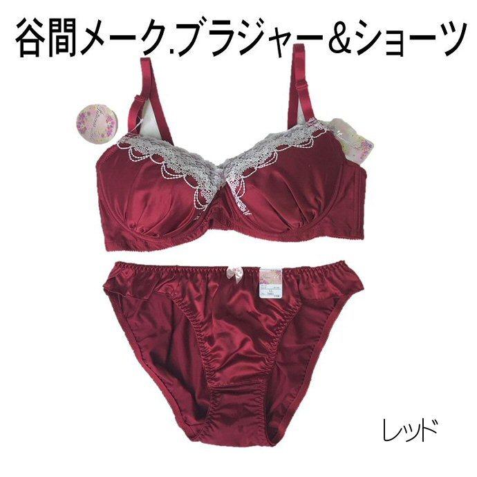 ブラジャーショーツセット 谷間メーク 大きいサイズ バストアップブラジャー＆ショーツ グラマーサイズ 上下セットE85LL,F75/L.F85LL : イブショップ - 通販 - Yahoo ...