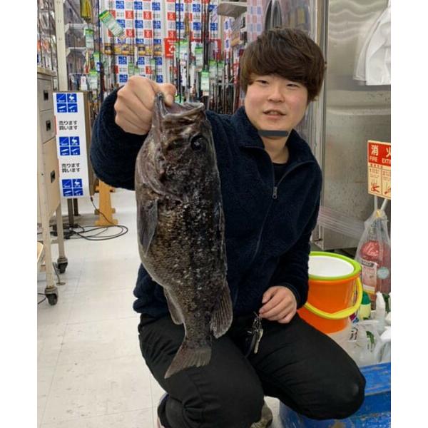 インクスレーベル INX.label ゼイゴー アジング Lサイズ Sサイズ INX label ロックフィッシュ ワーム ロックフィッシュ ...