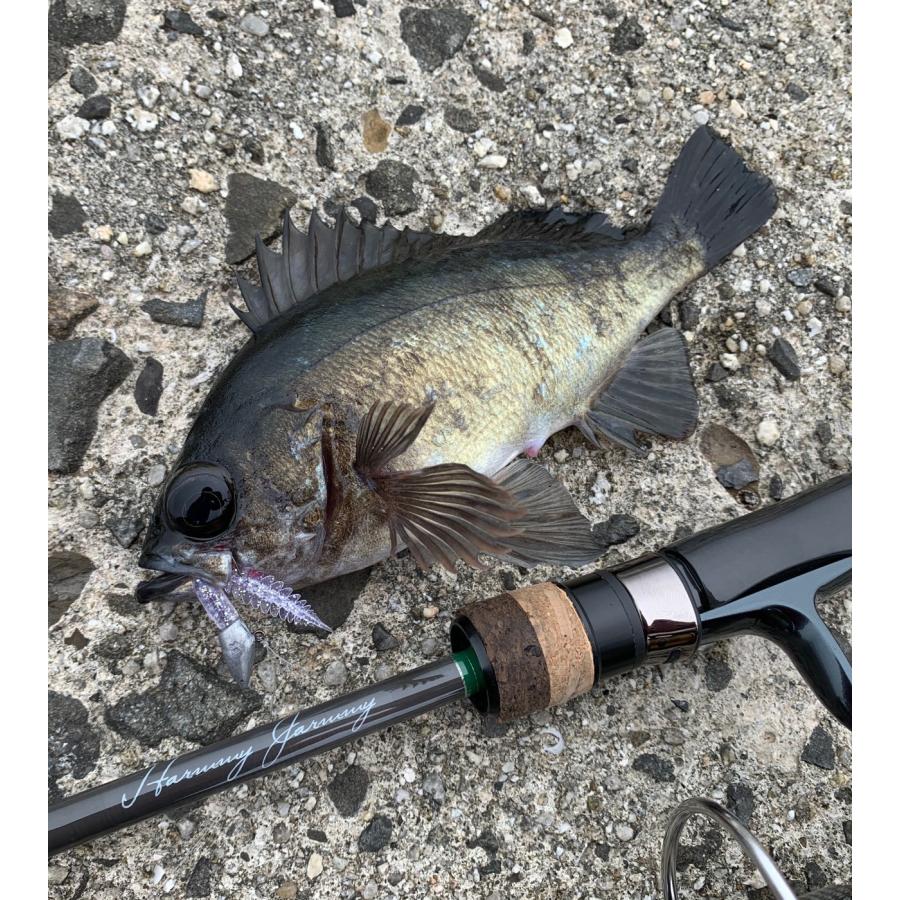 インクスレーベル INX.label ゼイゴー アジング Lサイズ Sサイズ INX label ロックフィッシュ ワーム ロックフィッシュ ...