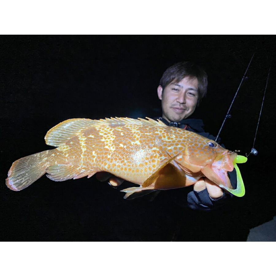 ルアー 【選べる3個セット】インクスレーベル(INX.label) テールマッカートニー Lサイズ 3.8inch INX.label インクスレーベル INX label 送料無料 ...