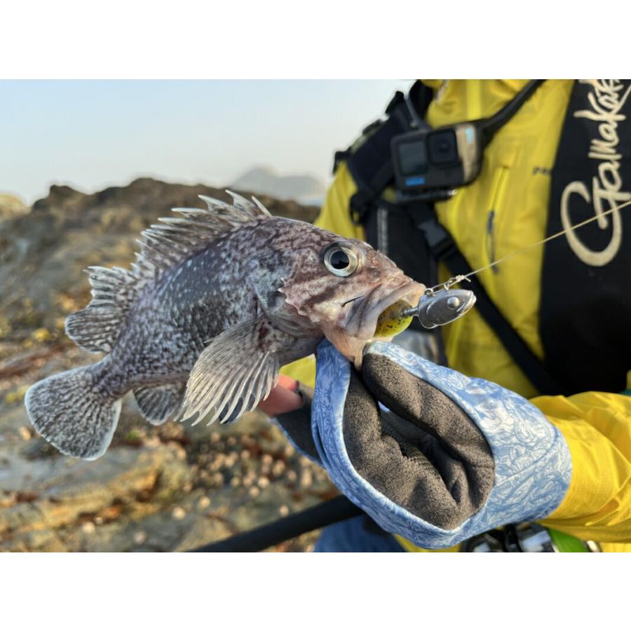 ルアー 【選べる3個セット】インクスレーベル(INX.label) テールマッカートニー Sサイズ 6本入り ロックフィッシュ ライトゲーム 送料無料 : Select Shop Milieu ...