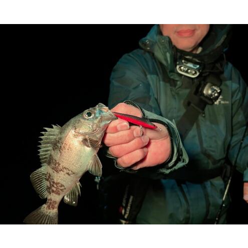 【新商品】【選べる3個セット】SPM65 S&S インクスレーベル(INX.label) バスデイ INX.label ルアー レオン 加来匠 メバリング アジング Shallow ...