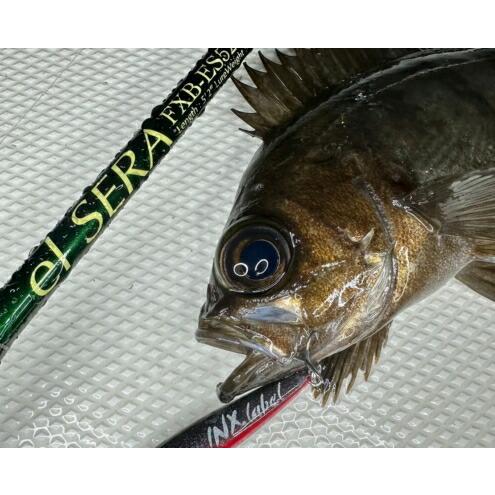 【新商品】【選べる3個セット】SPM65 S&S インクスレーベル(INX.label) バスデイ INX.label ルアー レオン 加来匠 メバリング アジング Shallow ...