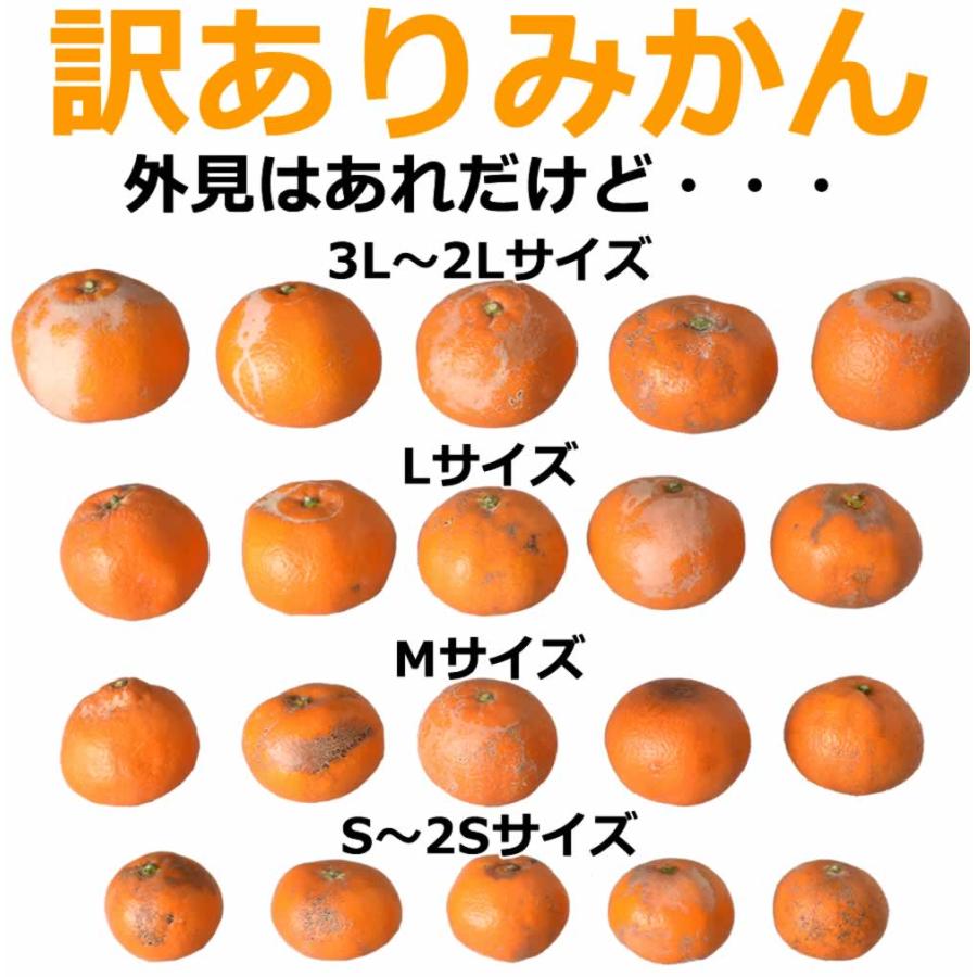訳あり和歌山みかん 10kg 3S〜3Lサイズ サイズ混合もしくはサイズ統一・キズ・シワ・他『みかん 10kg 訳ありみかん/わけあり』 :mikan-wakearia10w2:紀州和歌山 ...