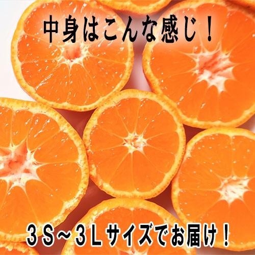 訳あり和歌山みかん 10kg 3S〜3Lサイズ サイズ混合もしくはサイズ統一・キズ・シワ・他『みかん 10kg 訳ありみかん/わけあり』 :mikan-wakearia10w2:紀州和歌山 ...