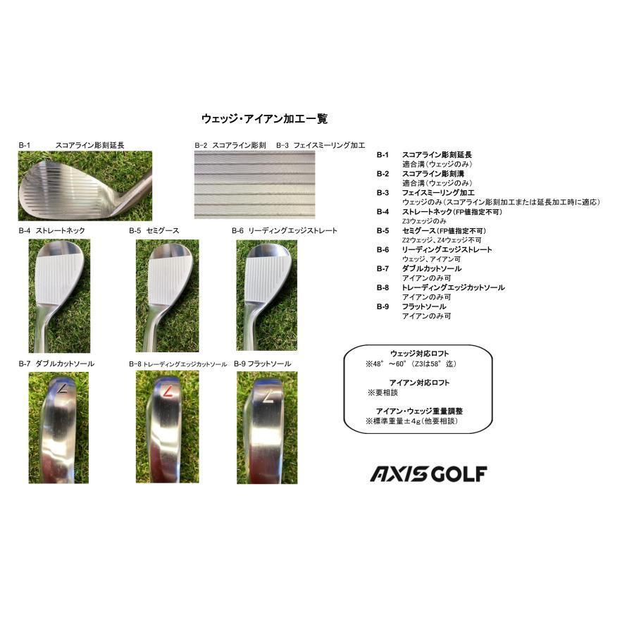 アクシスゴルフ Z5 ウェッジ | トゥルーテンパー ダイナミックゴールド HT カスタムクラブ オーダーメイド : Evolvin - 通販 - Yahoo!ショッピング