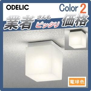 エクステリア 屋外 照明 ライト オーデリックODELIC ポーチライト OG254291R マットシルバー OG254293R 黒色 :od12sa-00172:DIY・エクステリアG ...