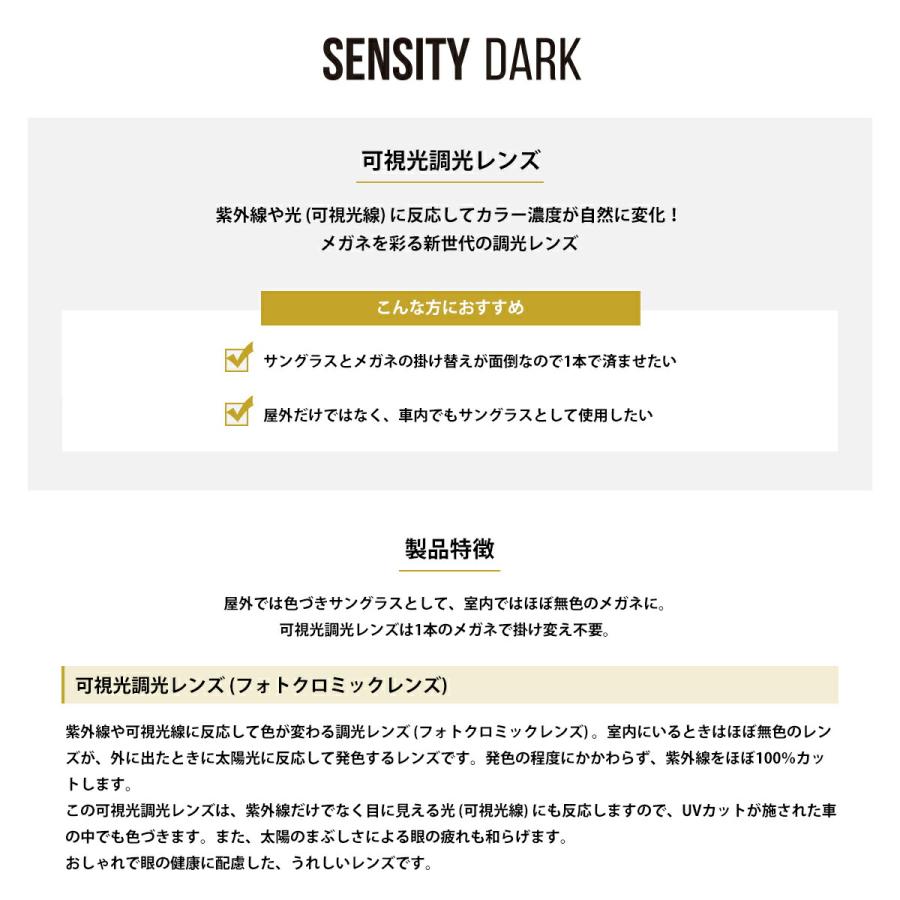 度付きレンズ 可視光調光 センシティダーク HOYA SENSITY DARK 球面 HL60 ハイルックス160 2枚1組 UVカット ...
