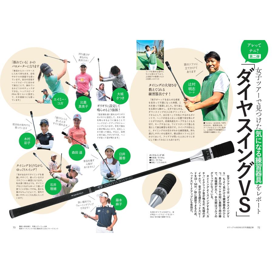 DAIYA GOLF ダイヤゴルフ 正規品 ダイヤスイングVS 「 TR-5008 」 ゴルフスイング練習用品 : EZAKI NET GOLF - 通販 - Yahoo!ショッピング