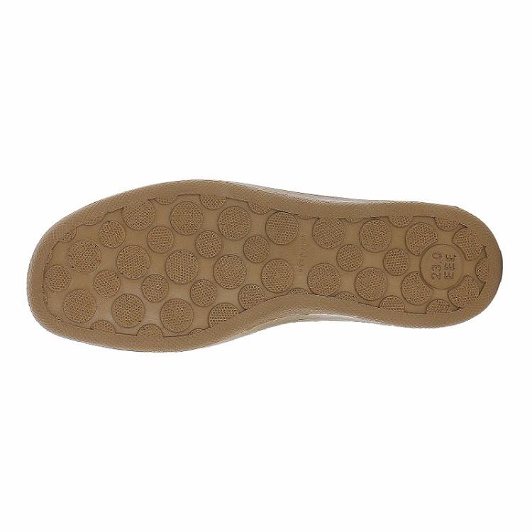 MoonStar（ムーンスター） SP2506 アイボリー 42325061 スポルス