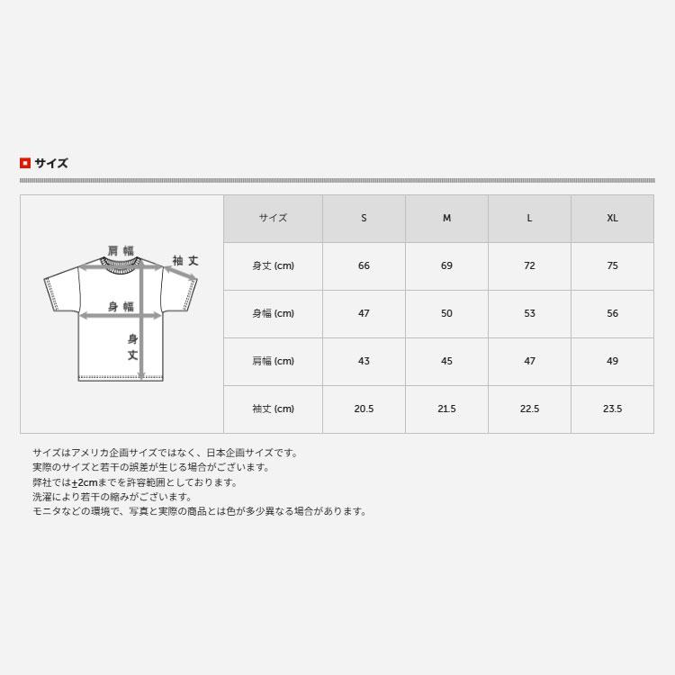 Hanes ヘインズ Tシャツ リングスパンUSコットン モックネックTシャツ メンズ レディース HM1-B204-090 メール便送料無料 : イーゾーン スポーツ - 通販 ...