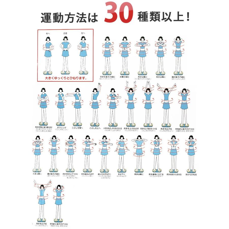 体のバランスを整える 美容健康にカラバラツイスター 解説DVD付き : イーゾーン スポーツ - 通販 - Yahoo!ショッピング