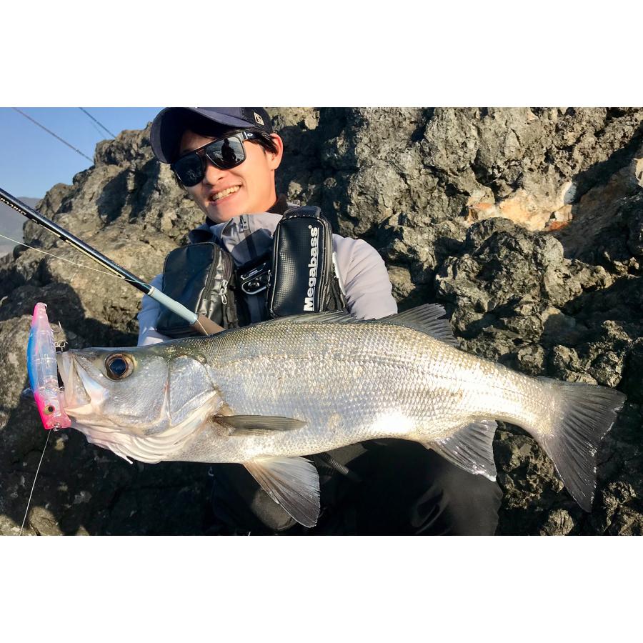 Megabass メガバス/MEGABASS カゲロウ155F 155mm 39g フローティングミノー シャロータイプ ランカーシーバス用ミノー KAGELOU155 : フィッシングマリン ...