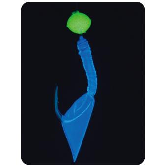 (5枚セット)がまかつ/Gamakatsu 堤防アジサビキケイムラスキン S-161 3, 4, 5, 6, 7, 8号 42564 アジ ...