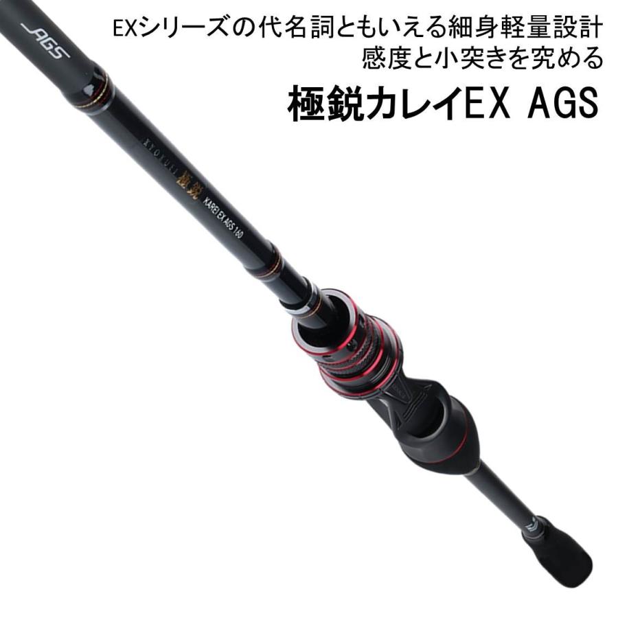 DAIWA（釣り） 【目玉商品】ダイワ 極鋭カレイ EX AGS 160 (釣り竿・ロッド) /(5) : つり具のマルニシYahoo!店 - 通販 - Yahoo!ショッピング