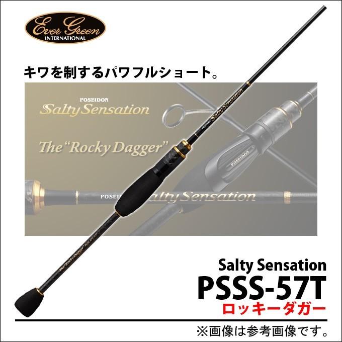 EverGreen 【取り寄せ商品】 エバーグリーン ソルティーセンセーション (PSSS-57T)(ロッキーダガー) /(c) 【Σ05】 : つり具のマルニシWEB店2nd - 通販 ...