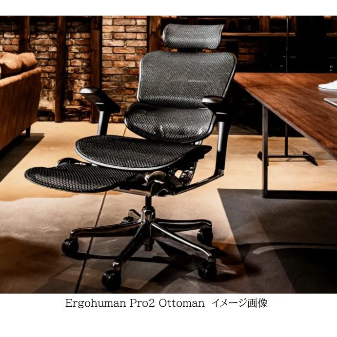 エルゴヒューマン 【組立送料無料/豪華レビュー特典有/要在庫 エルゴヒューマン 【組立送料無料/豪華レビュー特典有/要在庫