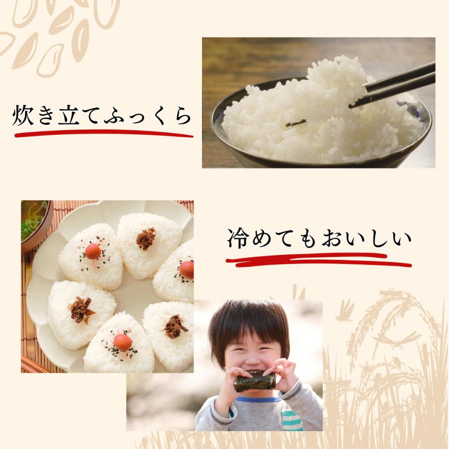 送料無料 令和5年度 福島県産 農家直送 コシヒカリ 2kg 新米 JGAP認証 精米 玄米 ふくしまプライド。体感キャンペーン（お米） :r-6:里山ガーデンファーム - 通販 ...