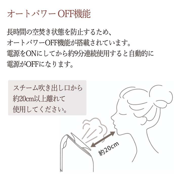 ヒロ・コーポレーション フェイススチーマー スチーマー 美容家電 保湿ケア クレンジングタイム アロマ機能付き 【☆60】【IFD】/フェイススチーマーHED : ファブリック&キュート ...