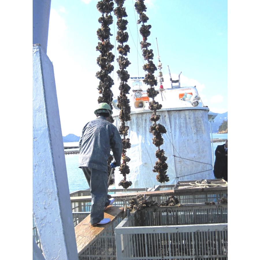 FADIE カキフライ 冷凍 広島産 かきフライ 25g×8個 牡蠣 フライ 広島県産 大粒 冷凍食品 ファディ 旬のかき テレビで紹介されました : 冷凍食品 専門 ファディ 公式ヤフー店 ...