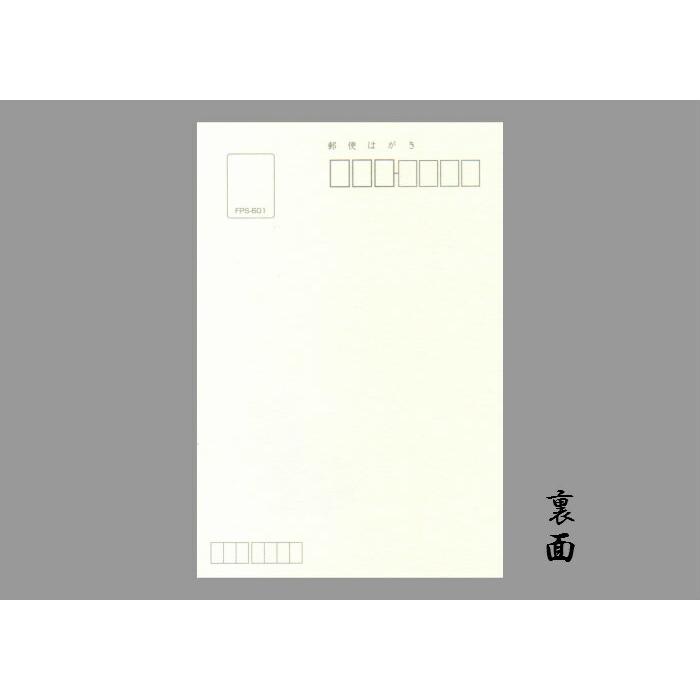 喪中はがき 喪中葉書 印刷 5枚 和紙 和風 冬 年賀欠礼 戒名 挨拶状【FPS-608A】トルコキキョウ 桔梗 定型文付き ポストカード 絵葉書 福井朝日堂 京都 : F.A ...