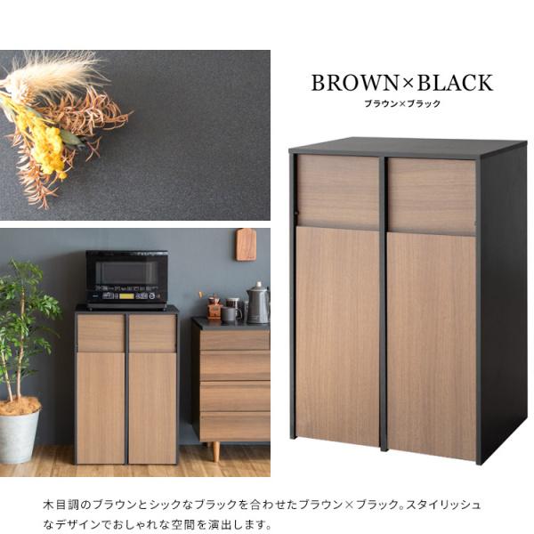 分別 ダストボックス 2連式 各45L 幅60.5cm プッシュ扉 キャスター付 ゴミ箱 レンジ台 キッチン 収納 木目調 デザイン リビング インテリア 家具 送料無料 : ファインテリア ...