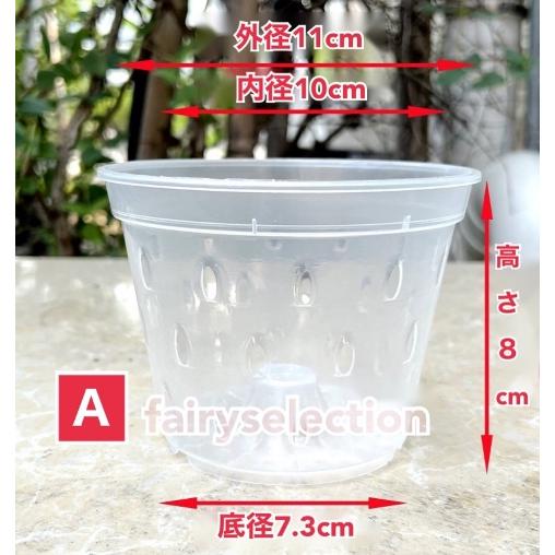 植木鉢 透明 プランター SSサイズ #110 10個セット 園芸 観葉植物 熱帯植物 ガーデニング 寄せ植え モンステラ 花 植物 発根 観察 : Fairy Selection - 通販 ...