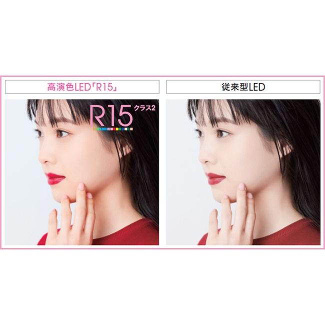 ODELIC 即日発送 長期保証 高演色LED [R15] LED 6灯 明るさ8畳 DCモーター 大風量 吹き抜け 傾斜天井 オーデリック ホワイト シーリングファン ライト OCB-224 ...