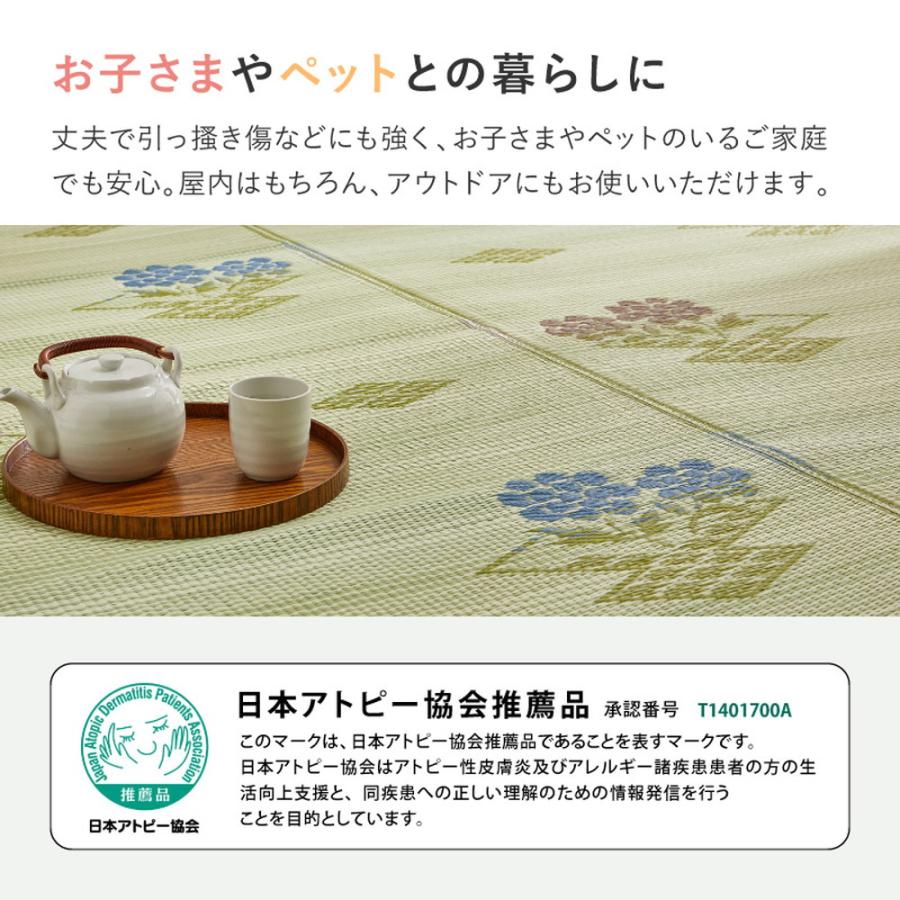 い草 風 ござ ラグ カーペット 58間 1畳 約 88×176cm 洗える 国産 おしゃれ 上敷き 和モダン PP 水洗いOK ペット 子供部屋 アウトドア ポイント利用 : FanRico ...