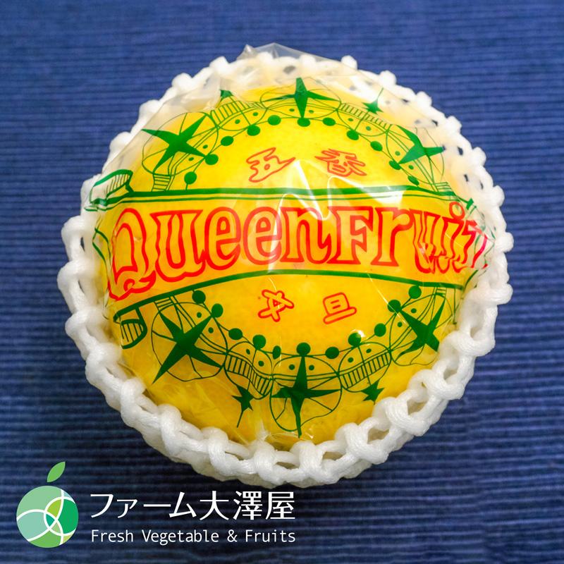 五香 改良文旦 土佐文旦 赤秀 約2kg 4-5玉 早和柑橘研究会 和歌山県産 文旦 ボンタン ザボン フルーツ ギフト プレゼント 誕生日 : fo-2024022201 : ファーム大澤屋 ...