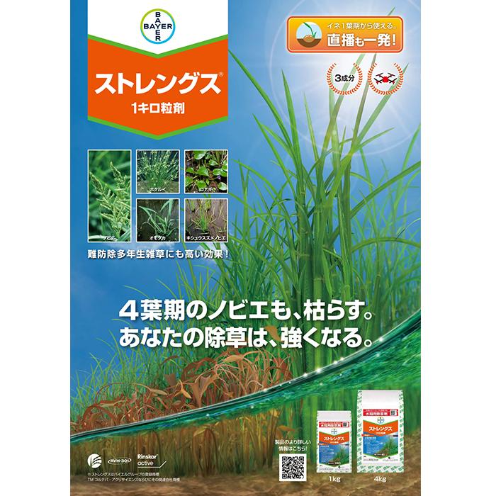 水稲用除草剤 ストレングス1キロ粒剤 4kg×4袋セット : ファームトップ - 通販 - Yahoo!ショッピング
