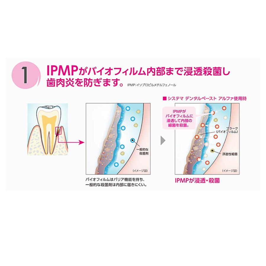 システマ 【ミニサイズ2本付・箱なし・新品・未使用】ライオンDENT. デンタルペーストα 90g 3本 +ミニサイズ 2本 LION デント Systema 歯周病 : お口のお店FDC ...