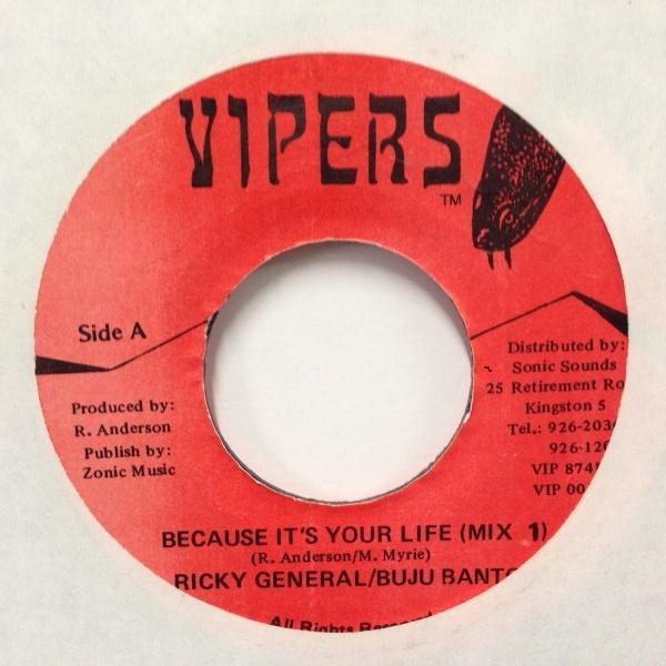 EPレコード RICKY GENERAL & BUJU BANTON / BECAUSE IT'S YOUR LIFE : レコード買取・販売 ...