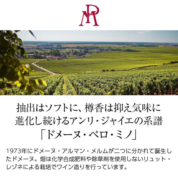 赤ワイン フランス ブルゴーニュ ドメーヌ ペロ ミノ モレ サン ドニ ラ リュ ド ヴェルジィ 2020 750ml : FELICITY Beer&Water - 通販 - Yahoo ...