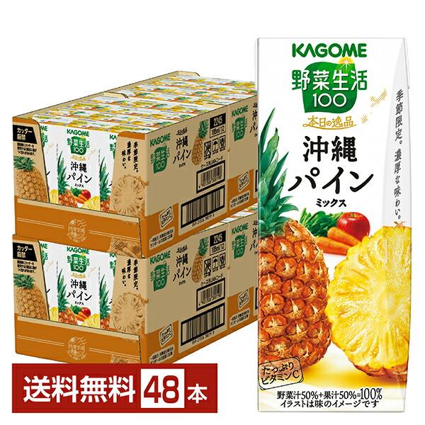 野菜生活100 季節限定 本日の逸品 沖縄パインミックス カゴメ 195ml 紙パック 24本×2ケース（48本） 送料無料 : FELICITY Beer&Water - 通販 ...