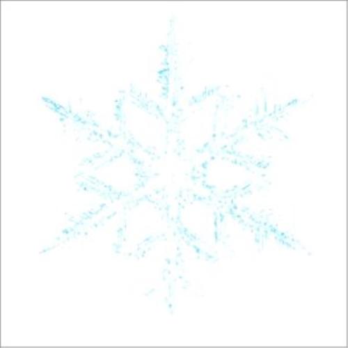 トイズファクトリー CD/BUMP OF CHICKEN/スノースマイル : Felista玉光堂 - 通販 - Yahoo!ショッピング