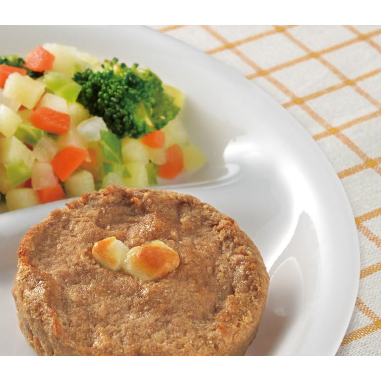 犬猫用 PartnerFoods チーズハンバーグ 温野菜添え 55g : 誕生日ケーキのお店フェリスプラス - 通販 - Yahoo!ショッピング