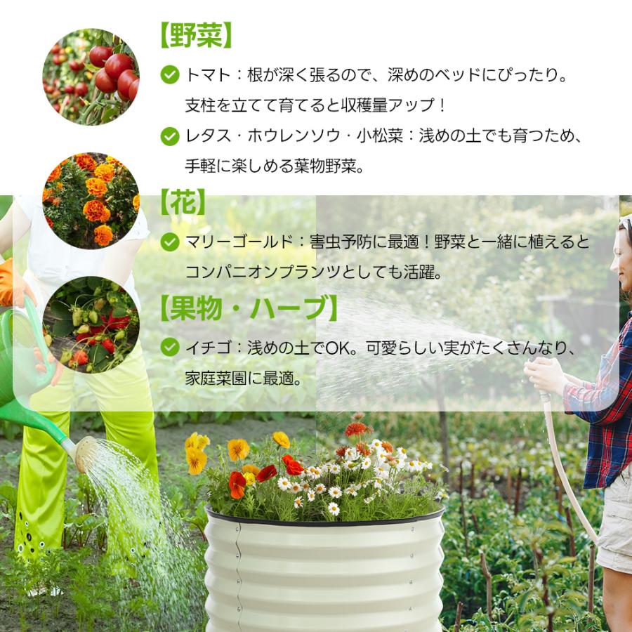 レイズドベッド ガーデンベッド L60×W60×H43cm 腐らない 庭 野菜 プランター 果物栽培用 ガーデンフレーム おしゃれ 組立簡単 ガーデンボックス 屋外 : Feliz lar ...