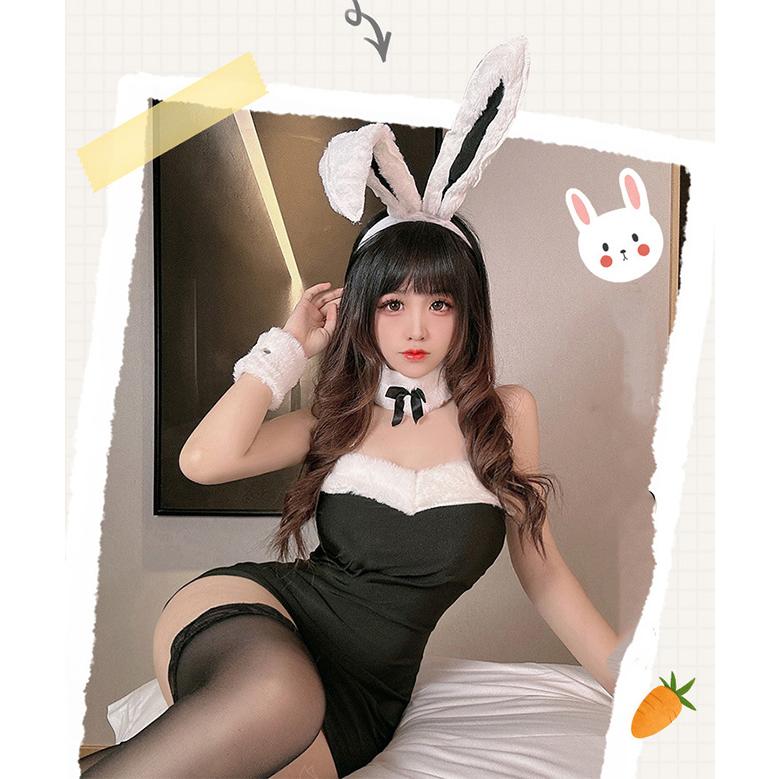 バニーガールコスプレ コスプレ セクシー コスチューム 衣装 バニー ウサギ バーレスク 仮装 可愛い かわいい 大人 エロ うさぎ 7点 うさ耳 : FFKOストア - 通販 - Yahoo ...