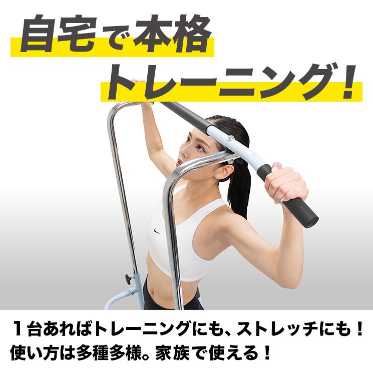 ファイティングロード マルチ懸垂スタンド ぶら下がり健康器 ファイティングロード マルチ懸垂スタンド ぶら下がり健康器