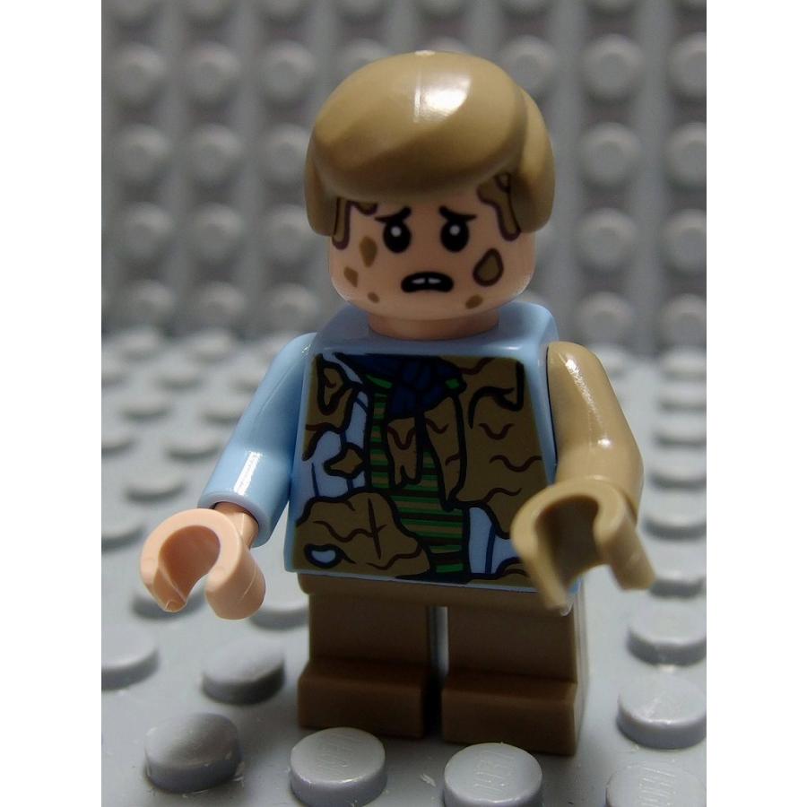 LEGO ★LEGO★ミニフィグ【ジュラシック ワールド】Tim Murphy_B(jw099) : フィグしま専科 ヤフー店 - 通販 ...