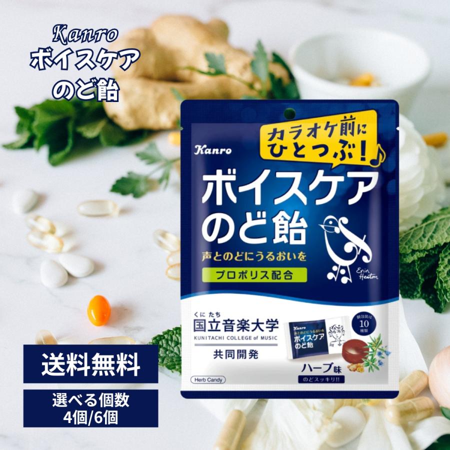 Kanro カンロ ボイスケアのど飴 70g×6袋 : Filex Mart Japan - 通販 - Yahoo!ショッピング