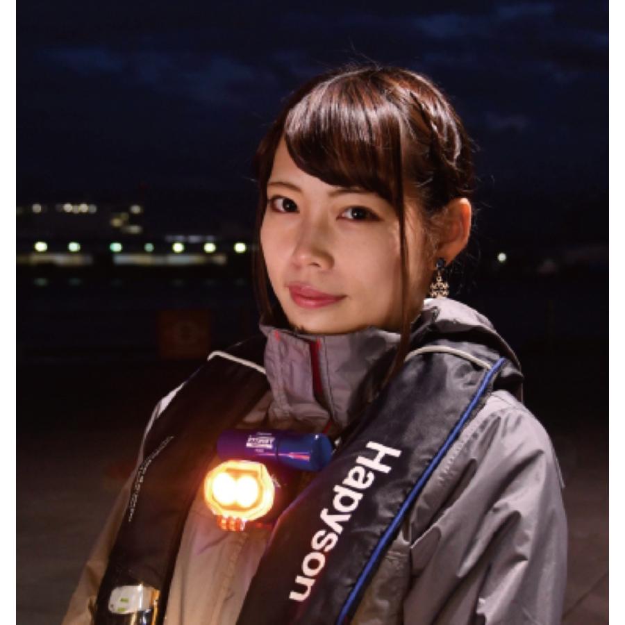 Hapyson ハピソン YF-201 YF-20DF フィルターセット オレンジフィルター チェストライト家邊克己 YF-201F (06) : NEXT ONLINE - 通販 ...