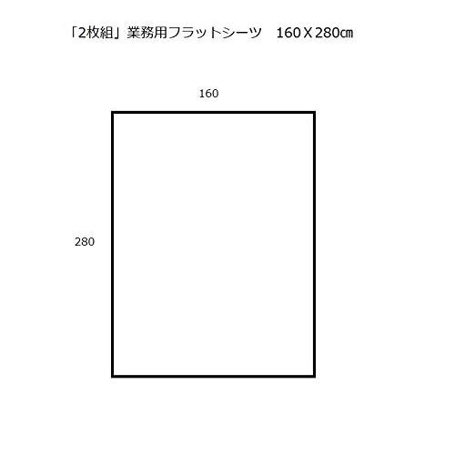 ゴッチ(Gotch) 「2枚組」業務用フラットシーツ綿100% 160X280cm ホワイト シングル : 42074499999 : ファイナルショッピング - 通販 - Yahoo!ショッピング