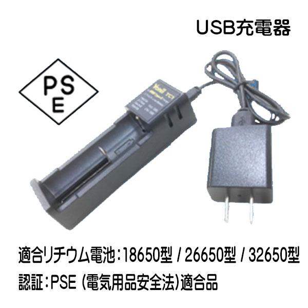 ZERO ZERO bigblue ゼロ ビッグブルー USB充電器 水中ライト用バッテリーチャージャー リチウム電池 18650型 ...