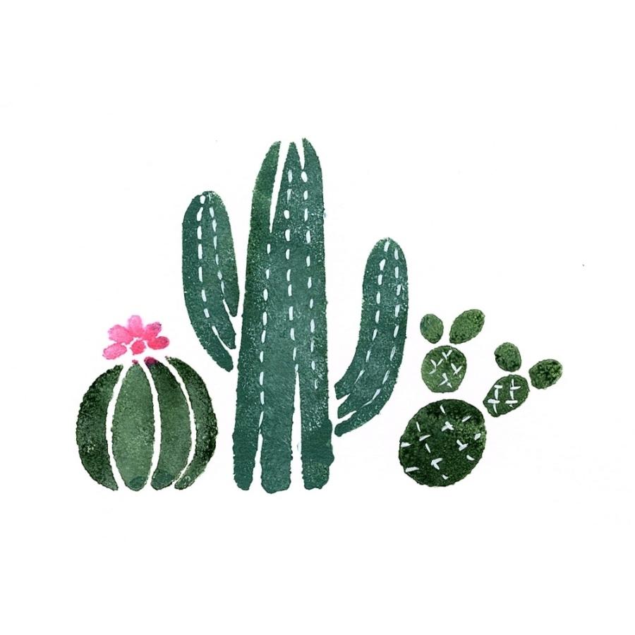 ファインホームのステンシルシート サボテン Mサイズ fh-390m : ファインホーム - 通販 - Yahoo!ショッピング