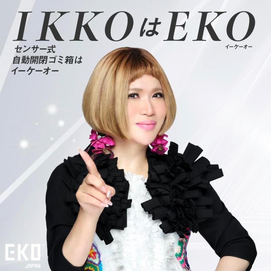 EKO JAPAN デラックスファントム センサービン 45L シルバー [EK9287MT-45L] : ファーストWORKヤフー店 - 通販 - Yahoo!ショッピング