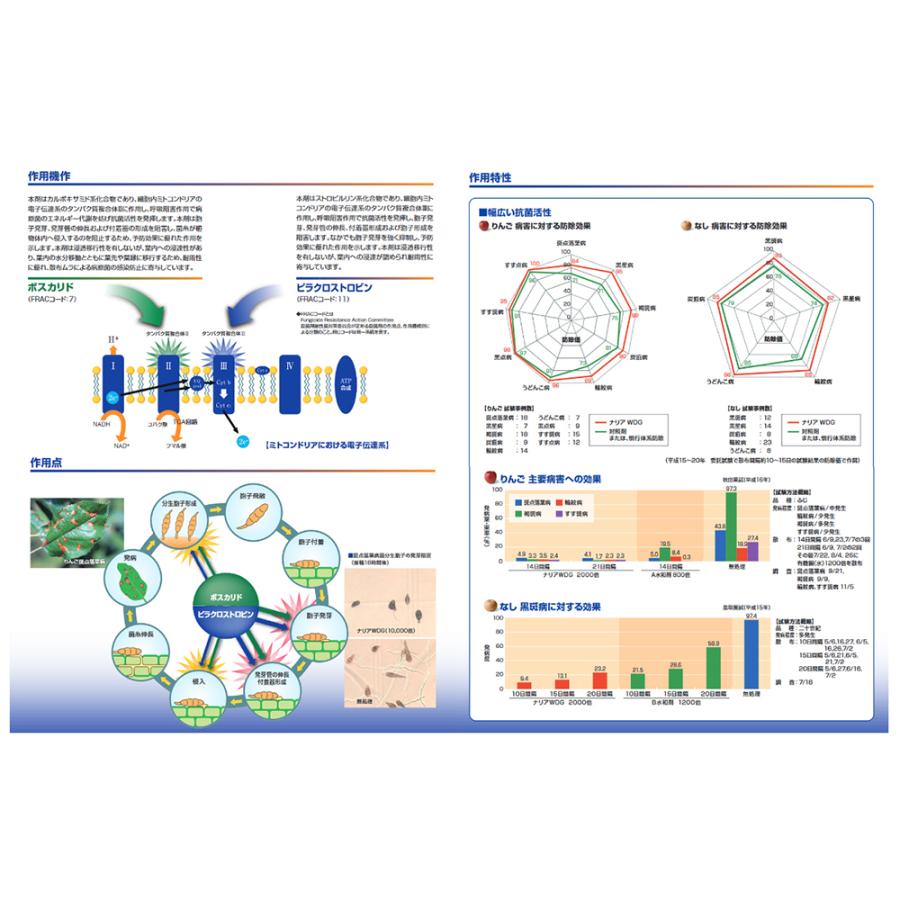 BASF ナリアWDG 250g スイワザイ : ファーストWORKヤフー店 - 通販 - Yahoo!ショッピング