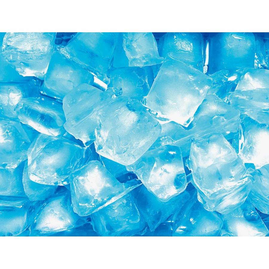 パール金属 クールストレージ アイスコンテナ2500 [DC-6032] : ファーストWORKヤフー店 - 通販 - Yahoo!ショッピング