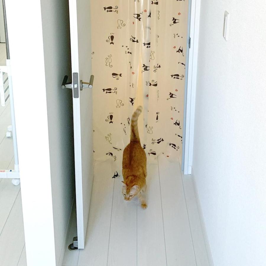 明和グラビア ドアを開けたままで冷気・暖房を逃がさない間仕切りシート 90cm×250cm BK [LMP-01P]【在庫有り】 : ファーストヤフー店 - 通販 - Yahoo!ショッピング